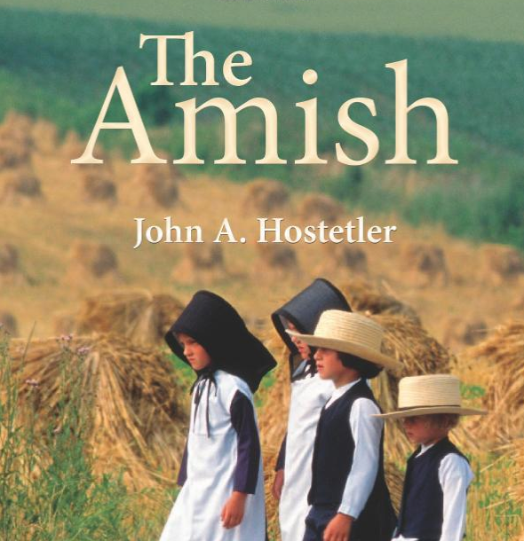 Employee Spotlight Laura Knowles