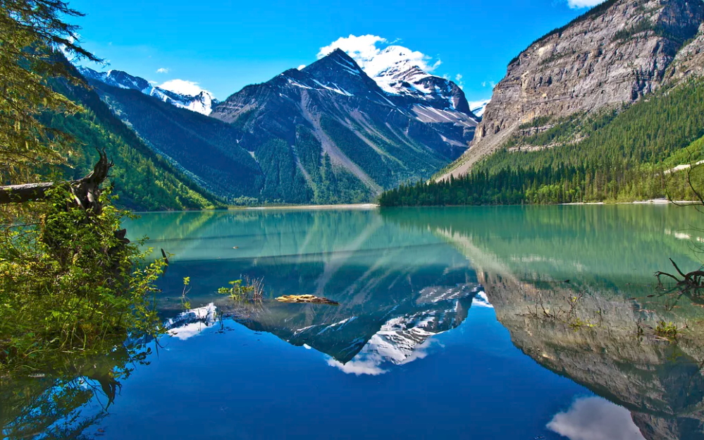 Employee Spotlight Laura Knowles